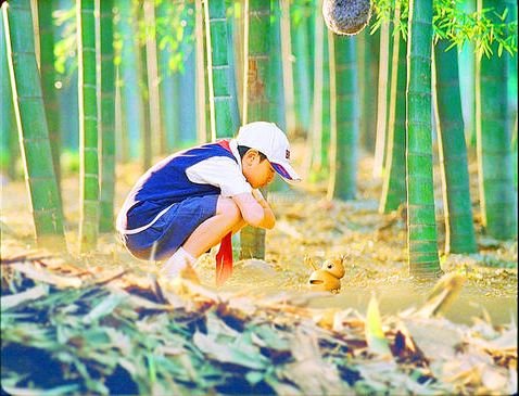 The Secret of the Magic Gourd • Reviews • Absolute Anime